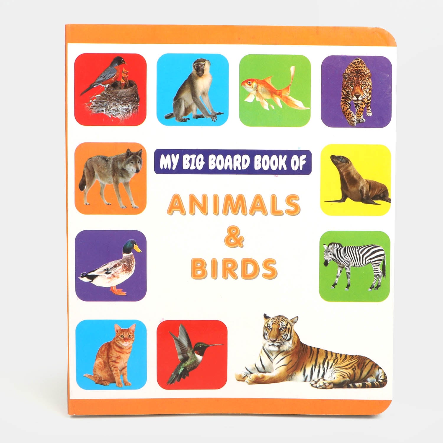 My Big Board Book of Animals & Birds Price in Pakistan | Bachaa Party