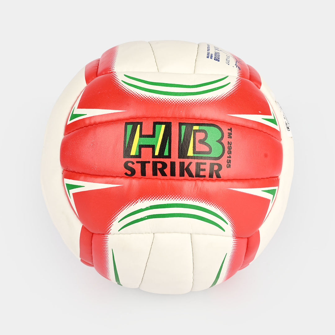 Volleyball Mix Price in Pakistan | Bachaa Party