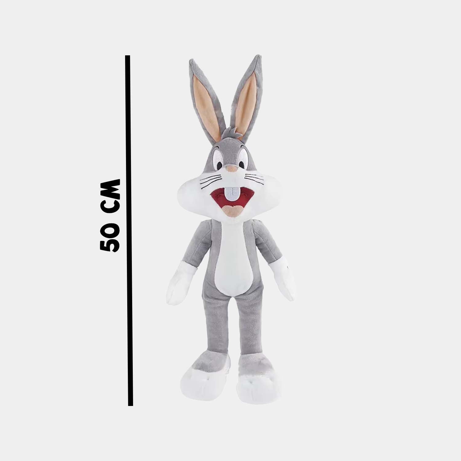 Rabbit 50 Cm Price in Pakistan | Bachaa Party